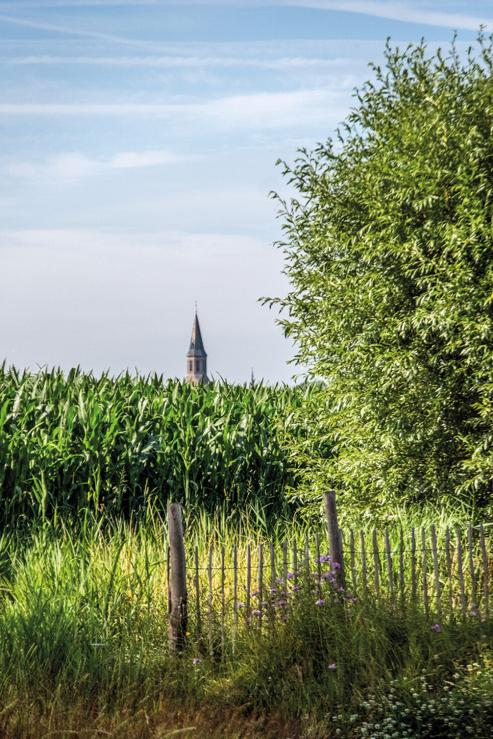 Camping Boven het Maaiveld | Caravannen!